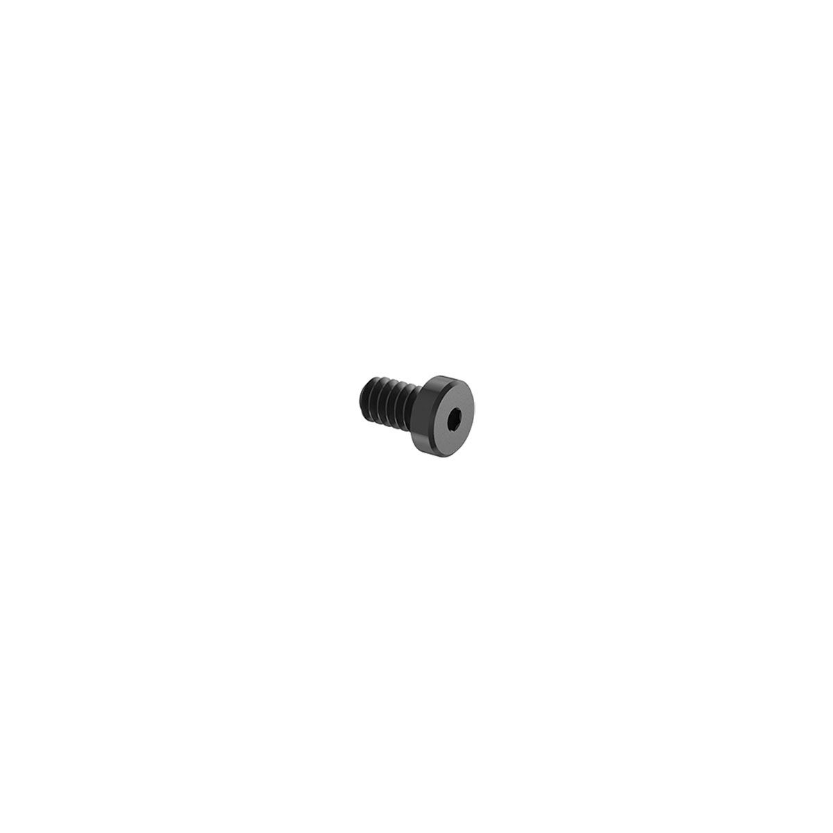 RANGER POINT Loading Gate Spring Cover Screw | Marlin, Smith & Wesson ...